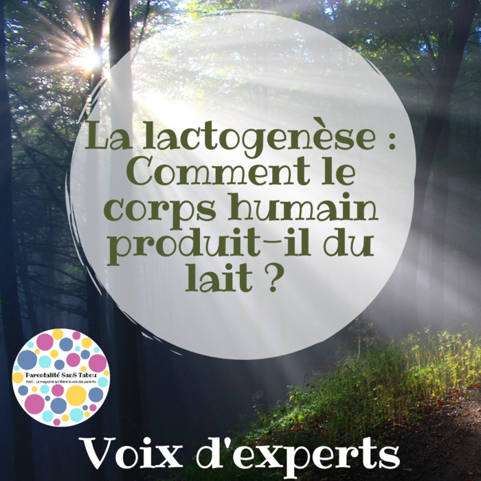 La lactogenèse : Comment le corps humain produit-il du lait ...